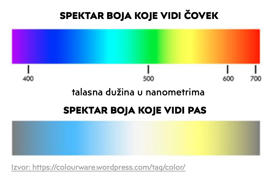 Da li psi vide crno-belo? - FakeNews Tragač